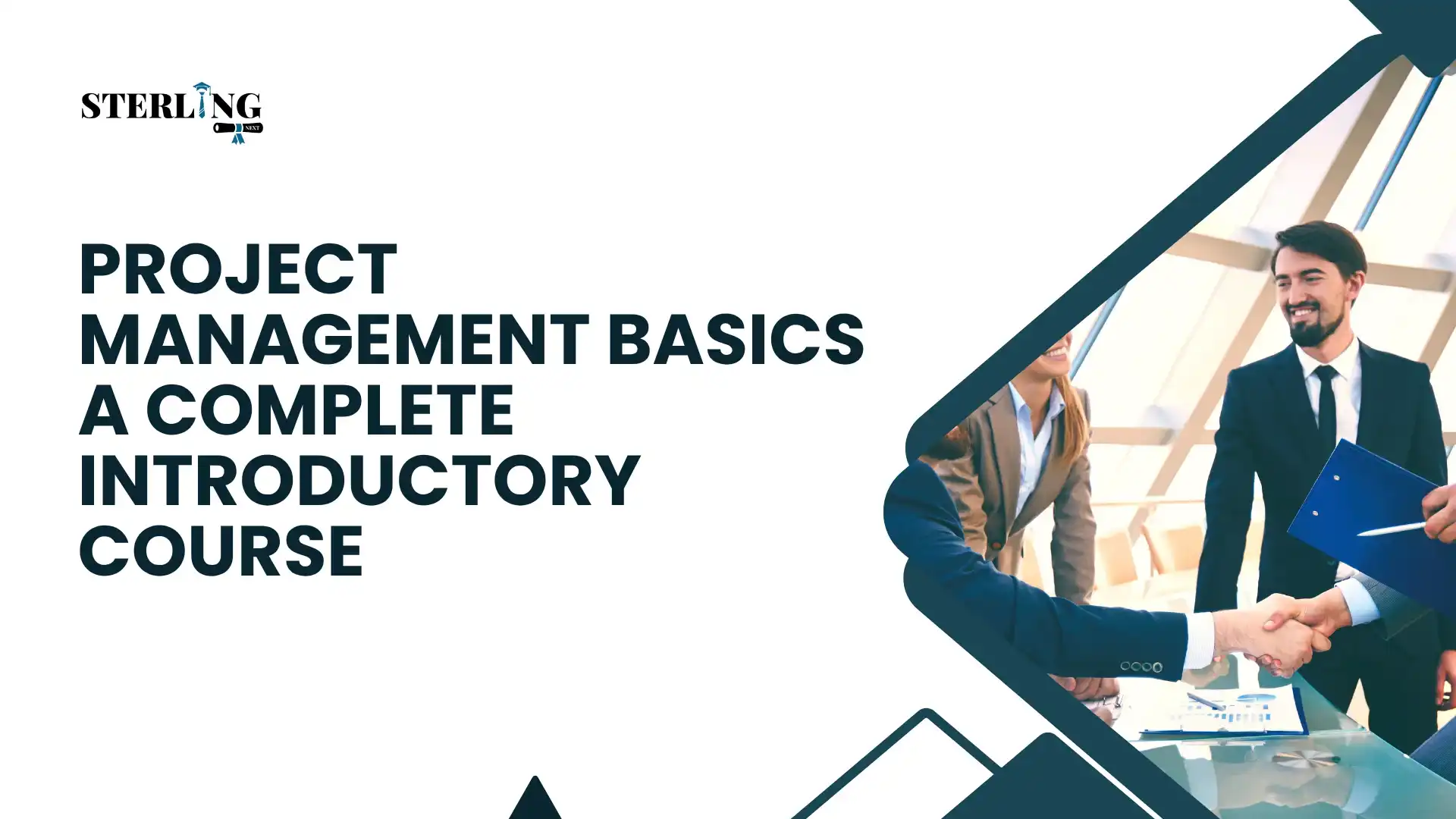 Project Management Basics Clear and Simple Learning Path